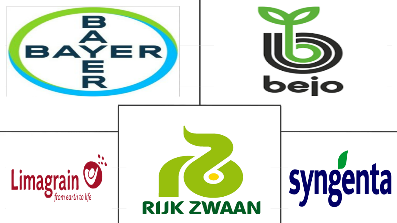 Kenya Seeds Research Reports & Market Industry Analysis