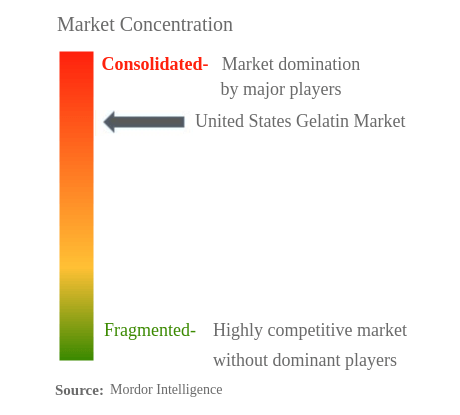 US Gelatin Market Size & Share Analysis - Industry Research Report ...