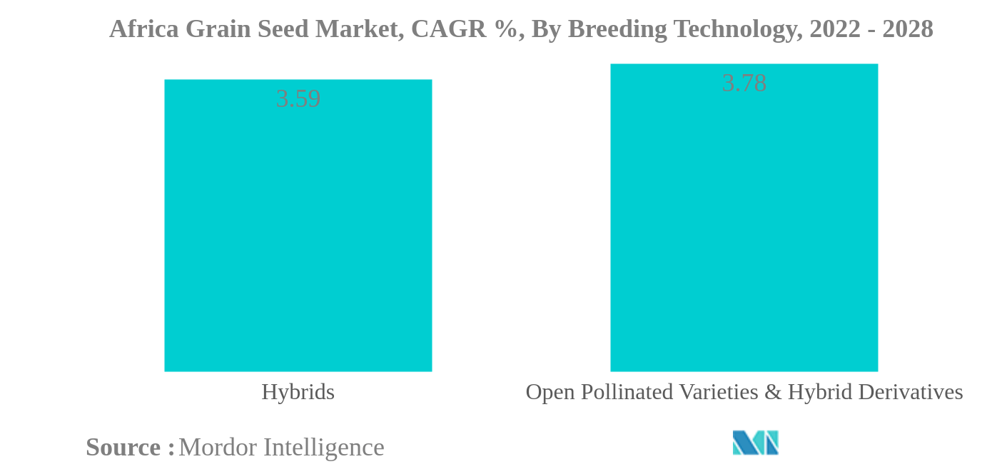 Africa Grain Seed Market Analysis - Industry Report - Trends, Size & Share