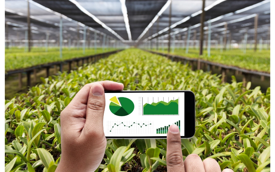 Strategic Opportunity Mapping to Unlock Growth Pathways for a Tech ...