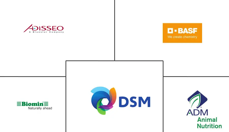 중동 사료 비타민 시장 규모 및 점유율 분석 산업 연구 보고서 성장 동향