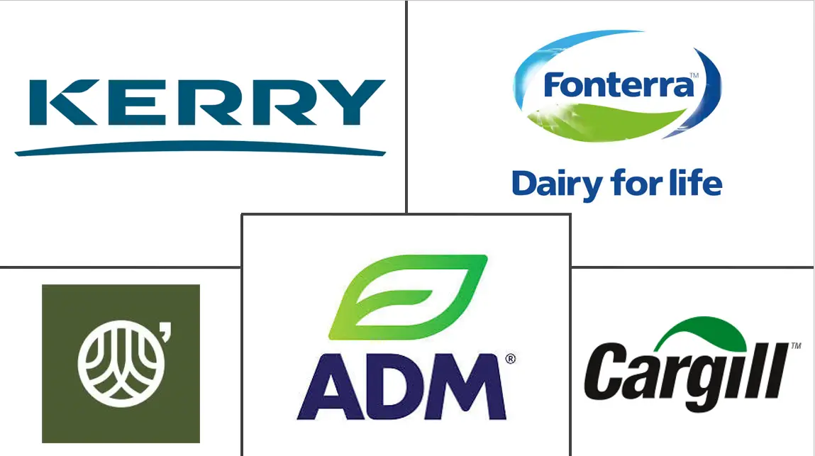 North America Cheese Powder Market Size, Share & 2031 Growth Trends Report