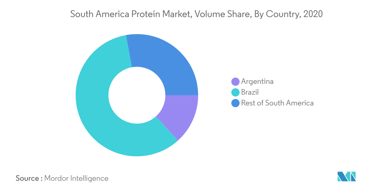 South America Protein Market | 2016 - 2026 | Industry Size, Share, Analysis