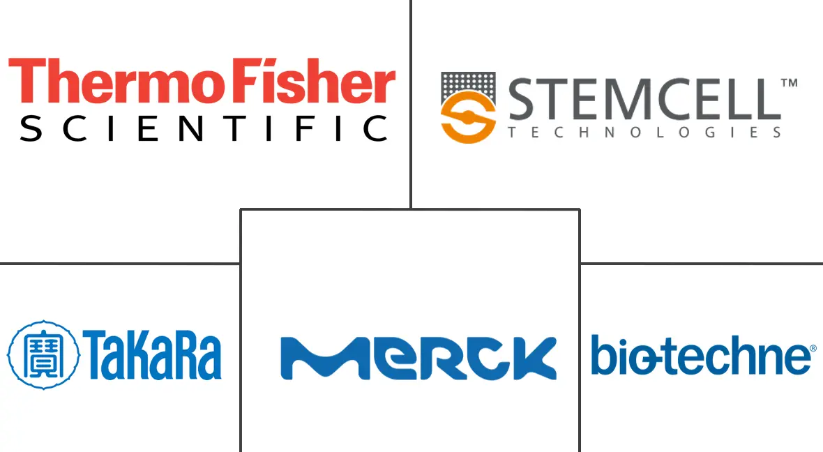 Stem Cells Market Size, Share & 2031 Growth Trends Report