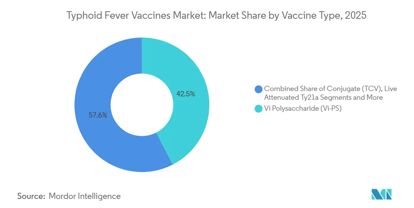 Typhoid Fever Vaccines Market Size, Share & 2031 Growth Trends Report